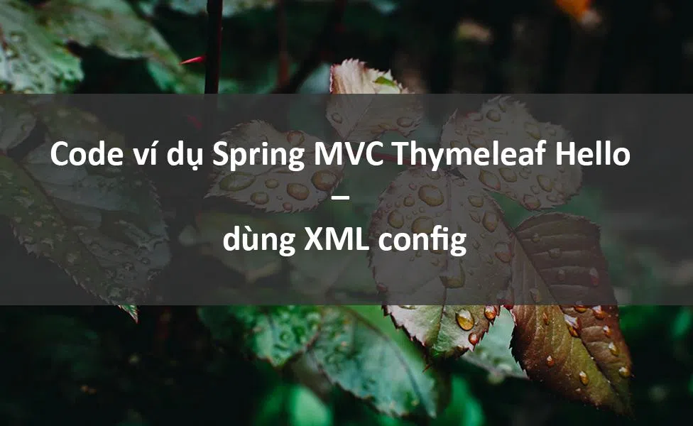 Techmaster Việt Nam Học Là Có Việc